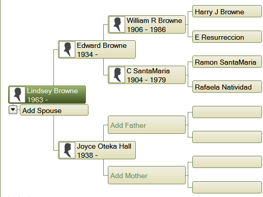 Lindsey Browne Family